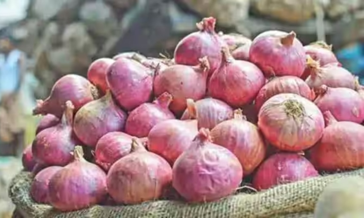 Onion Price Crash: Farmers May Find Relief Soon As Govt Plans Purchase Of Kharif Onion