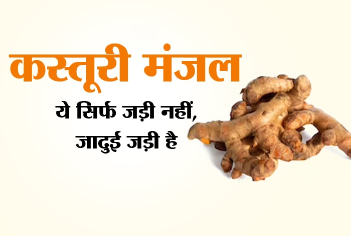 Kasturi Manjal: आपके किचन का प्रमुख मसाला है कस्तूरी मंजल, जानिए इसके ...