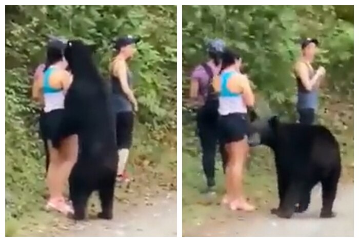 Big Bear Stands Tall Behind Woman Touches And Pulls Her Scary Video Surfaces Watch