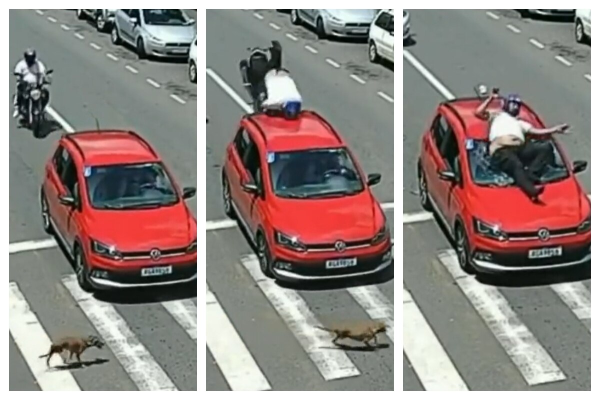 Biker Rams Into Lands On Car Roof Smashes Windshield And