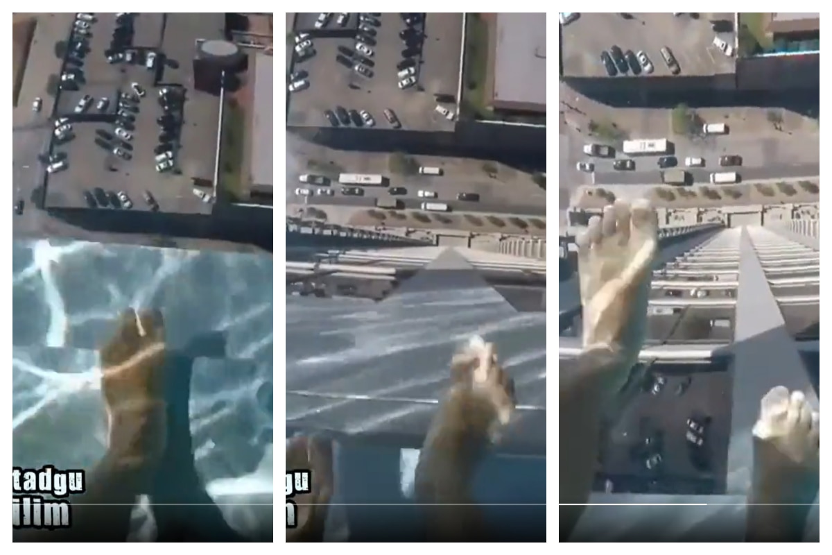 Normal Is Boring? Try This Scary, Transparent Swimming Pool At High ...