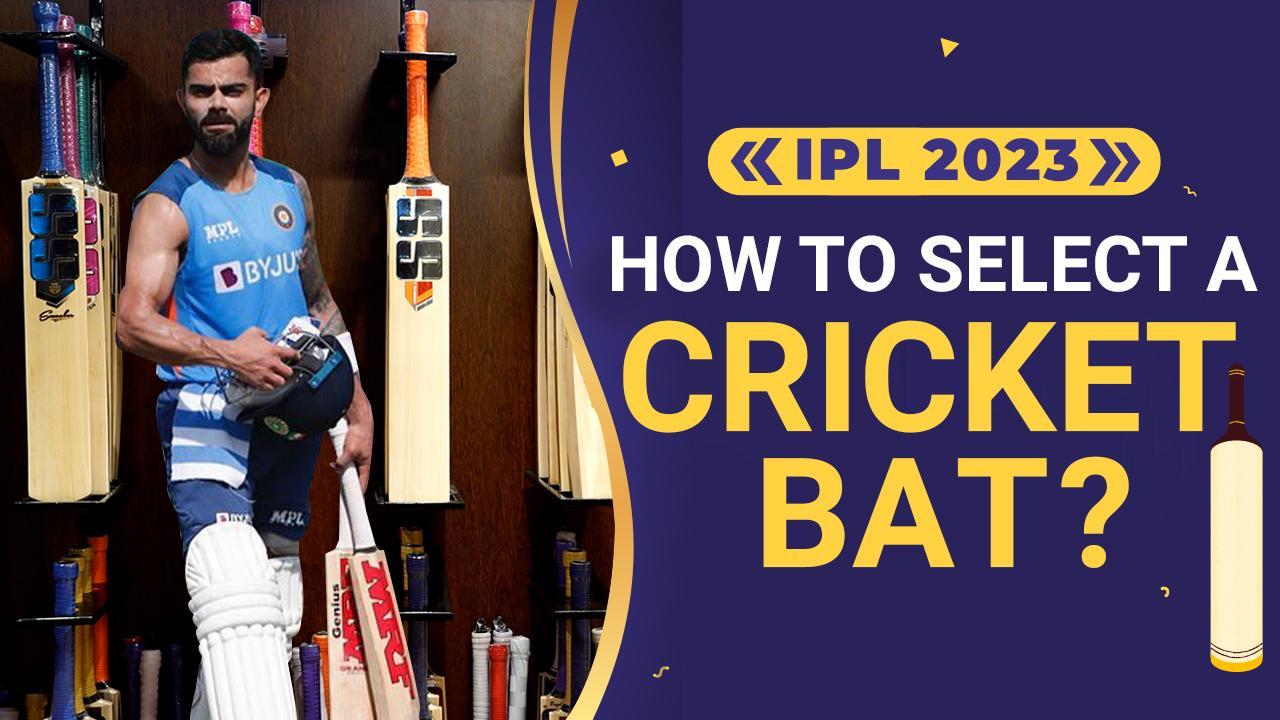 IPL 2023: How To Choose A Right Cricket Bat? Know From Game Expert