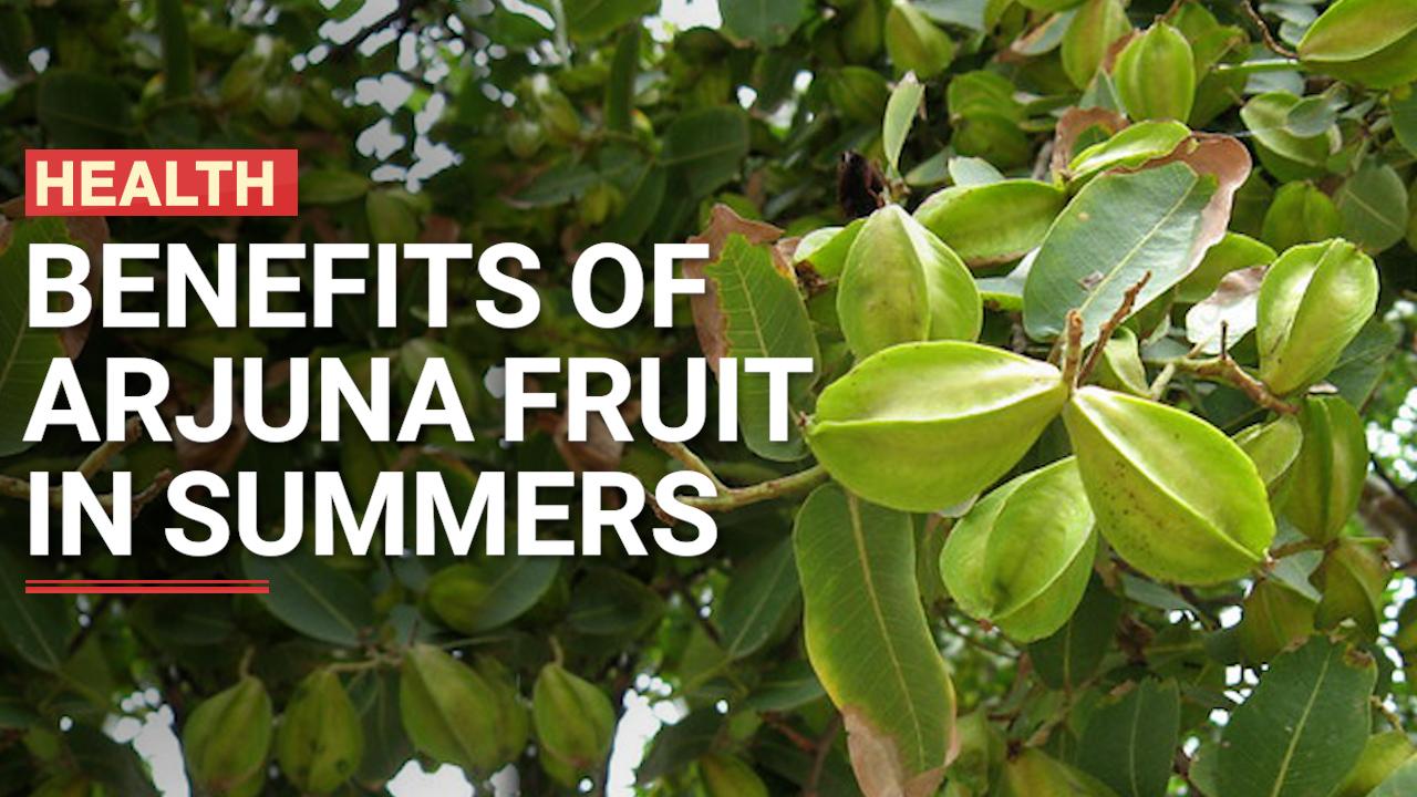 Benefits Of Arjun Fruit: Oral Health To Glowing Skin, Here Why You ...