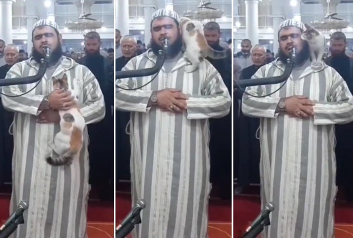 Ramadan Prayer Viral Video Cat Jumps On Imam During Namaz This Is How He Reacts Watch