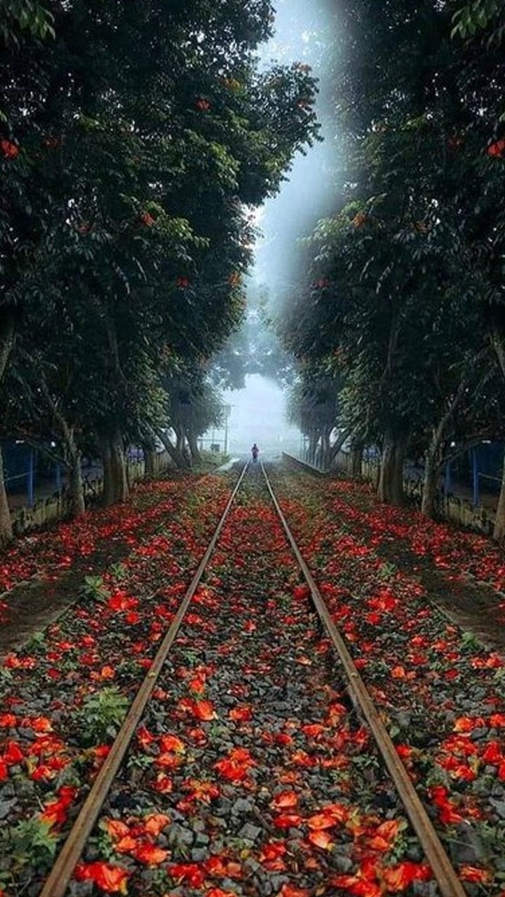 10 Biggest Railway Stations With Highest Number Of Platforms in India