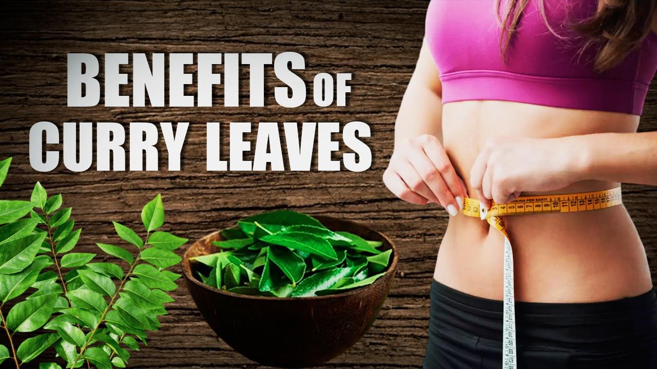 Curry Leaf Benefits: Want To Lose Weight? Add Kadi Patta In Your Diet ...
