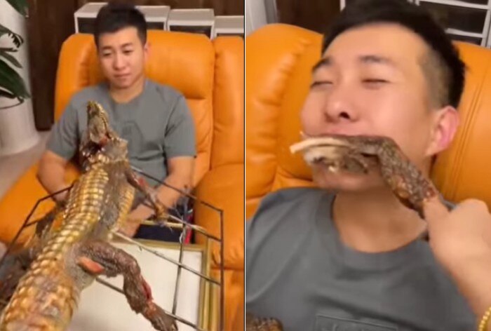 Magarmach Ka Video: मगरमच्छ ही भूनकर खा गया ये शख्स, दिमाग घुमा देगा ये ...