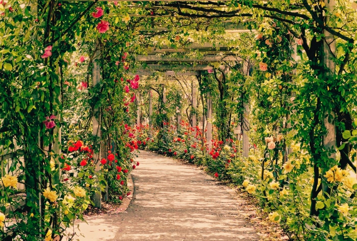 Delhi To Have 250 Women-Only Pink Parks With Free Gym Facilities