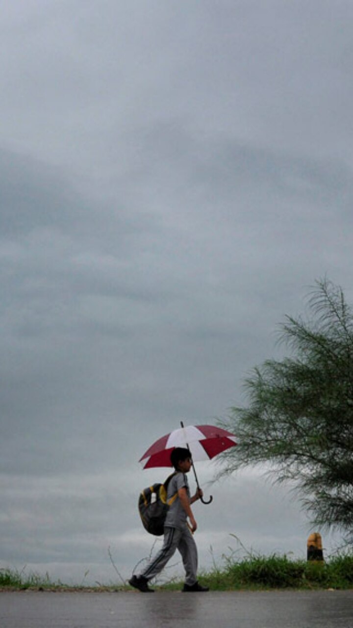 Cyclone Mocha: IMD Issues High Rain Alert in THESE States Till May 9