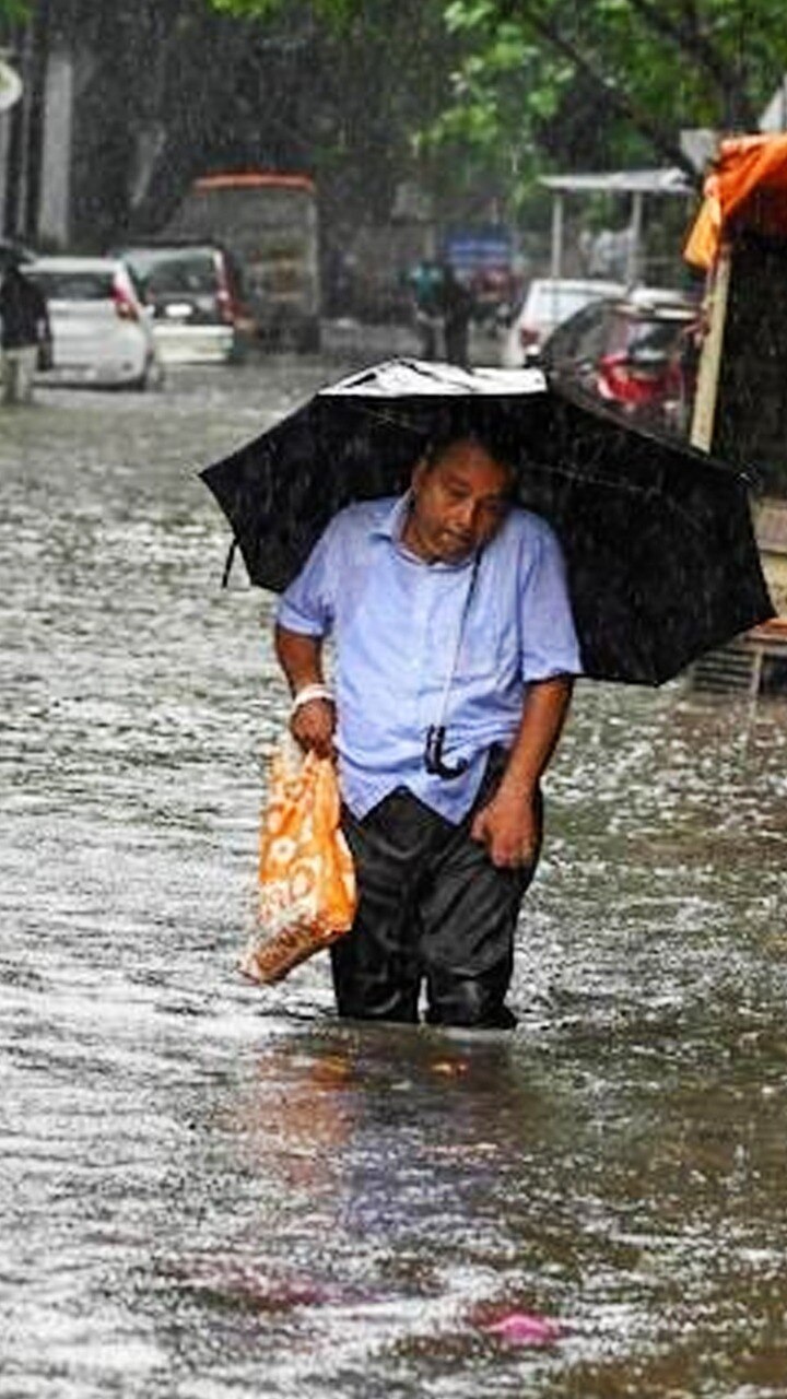 Heavy Rainfall: IMD Issues Orange Alert For These States