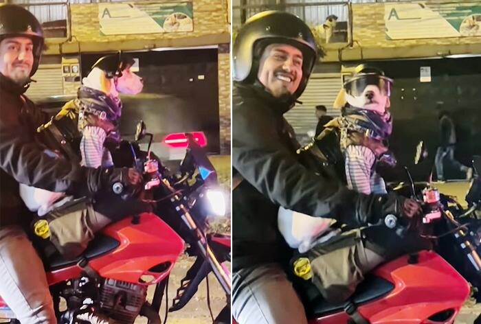 Viral Video: Stylish Dog Enjoys Bike Ride with Owner, Sporting Shades ...