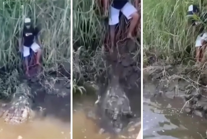 Magarmach Ka Video: मगरमच्छ के जबड़े में समाने ही वाला था शख्स, मगर अंत ...