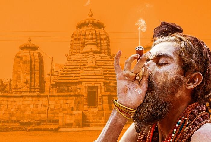 Odisha Bans Use Of Ganja At Shiva Temples Across State