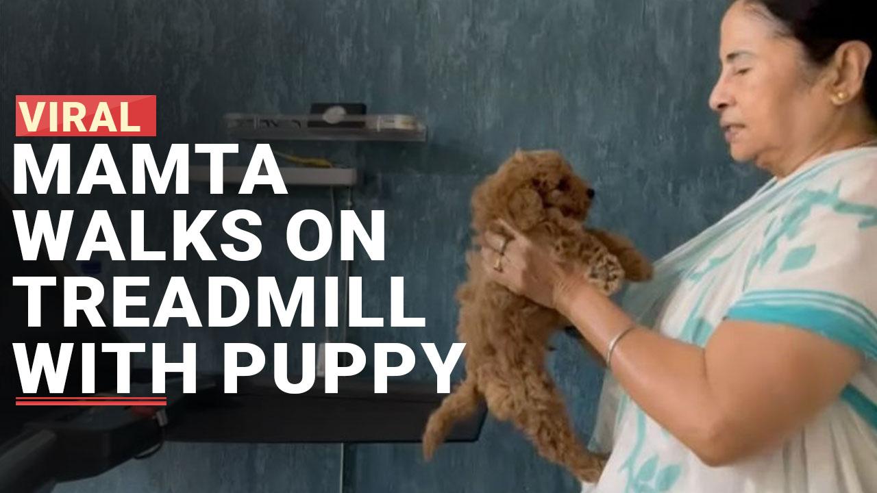 Watch: Mamta Banerjee Workouts On Treadmill With Her Pet Dog, Video Goes Viral On Internet