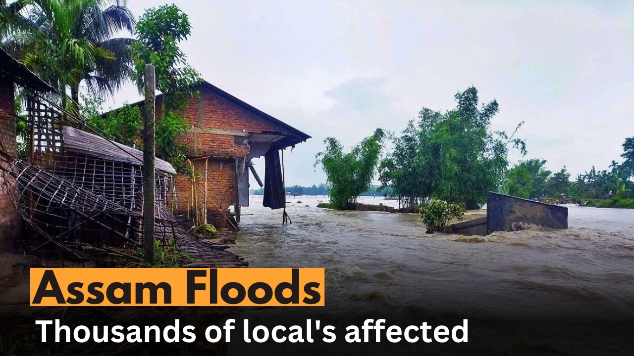 Assam Flood: Crops damaged after floodwater enters Barpeta