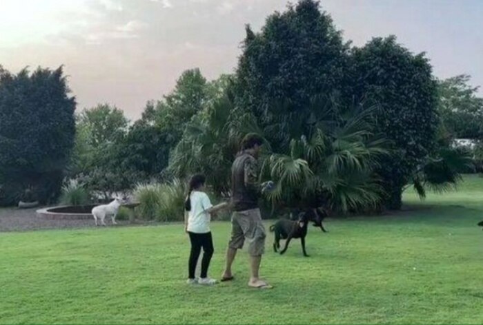 MS Dhoni, Ziva Spend Quality Time With Pets In Ranchi Farmhouse | WATCH ...