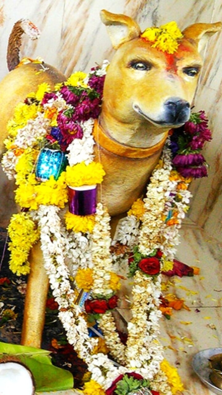 India Web Stories - India Visual Stories on India.com