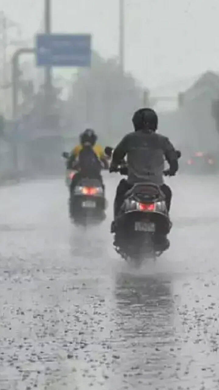 Web Stories - Visual Stories for Web and Mobile - India.com