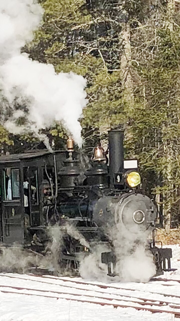 Top 10 Magical Winter Train Rides Across America