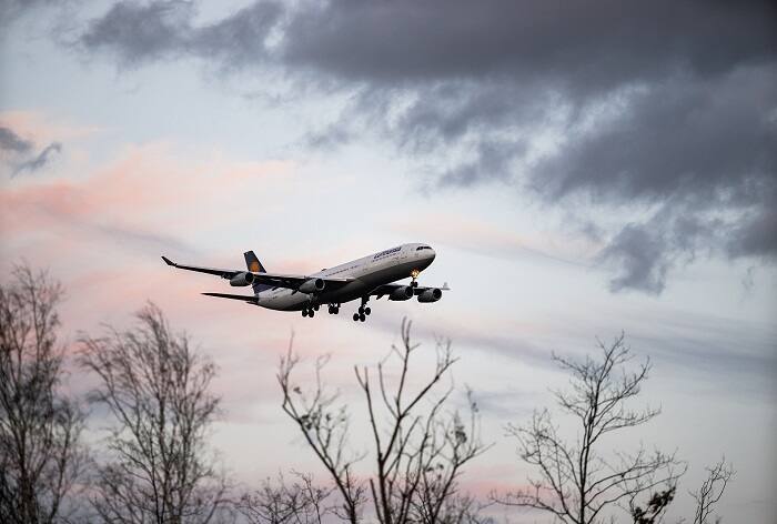 Viral Video Shows Pilot Covered In Blood After Bird Crashed Through ...