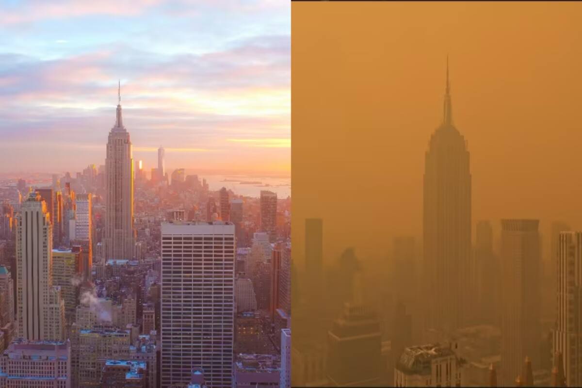 Forest Air Pollution Before And After These 5 Images Show How Air