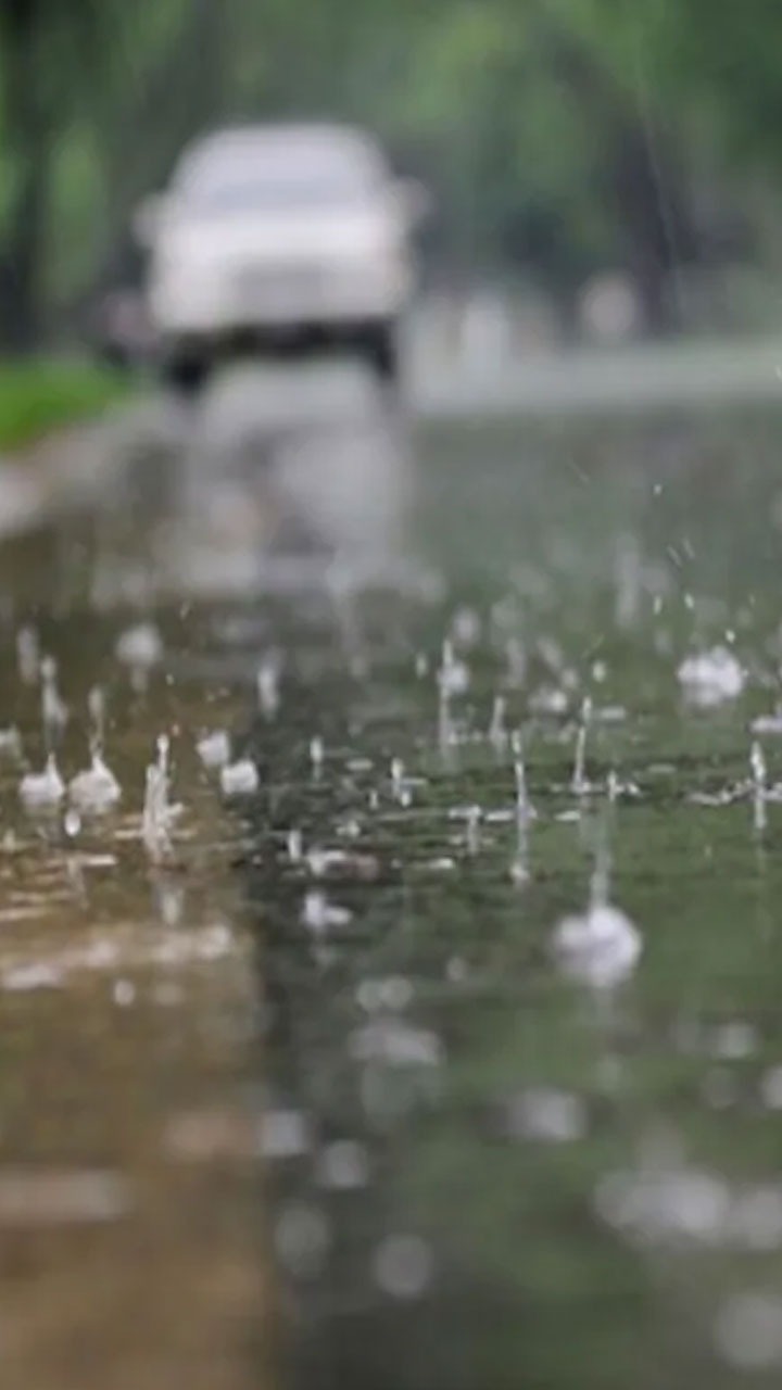 Heavy Rains: IMD Issues Yellow Alert For Kerala