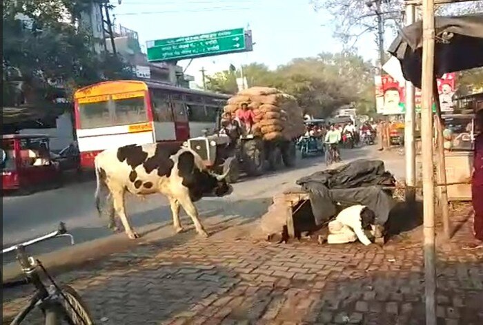 Bull Attack Video: राहगीरों पर सांड ने शुरू कर दिया हमला, इलाके में मच ...