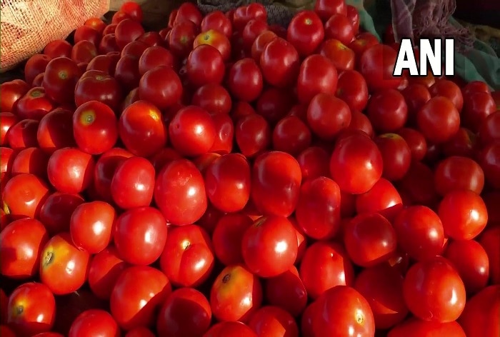 Tomato Price Rise: 100 रुपये किलो के पार पहुंचे टमाटर के भाव, दूसरी सब्जियां भी लेने में छूट रहा ...