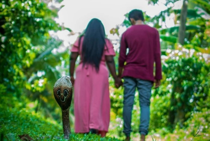 Couples Pre-Wedding Photoshoot Featuring Snake Goes Viral, Internet ...