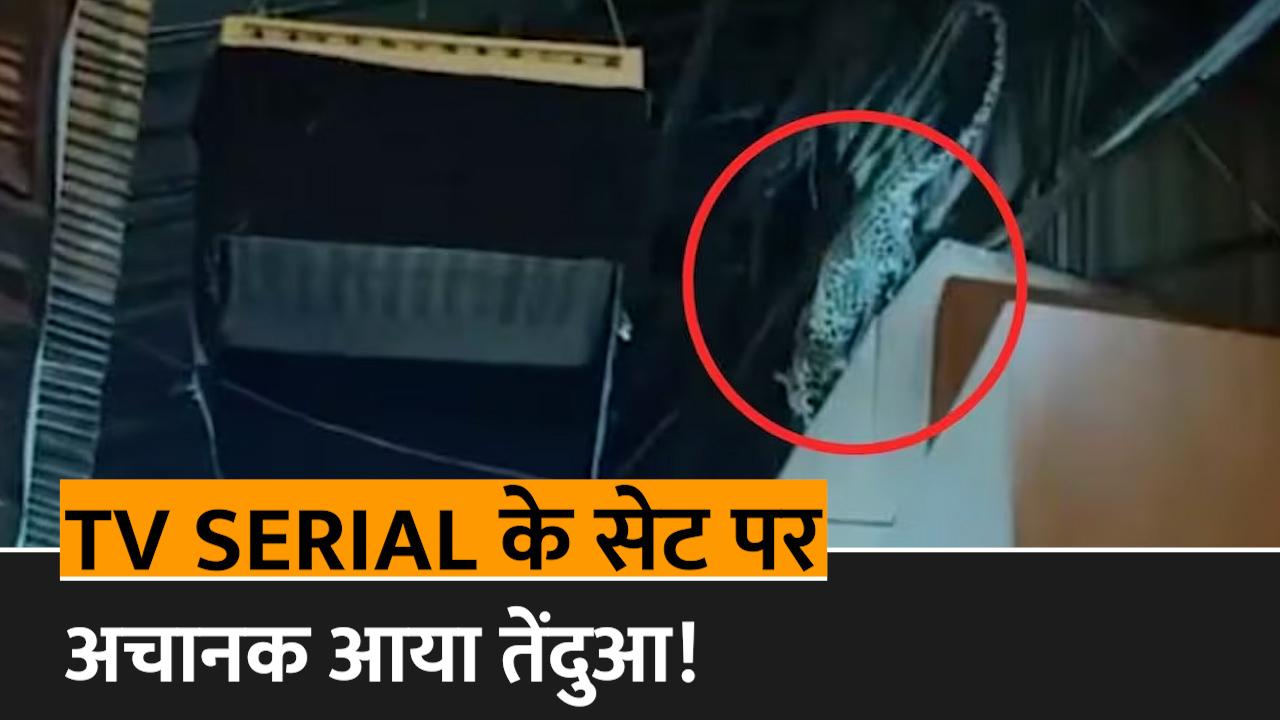 Leopard On Ajuni Set : TV सीरियल