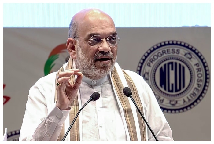 BJP Will Decide On Who Will Be Madhya Pradesh CM After Poll Result: Amit Shah