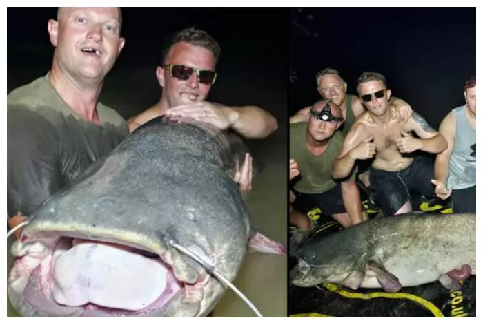 3 Friends From Britain Catch Biggest Wels Catfish Ever In Spain News ...