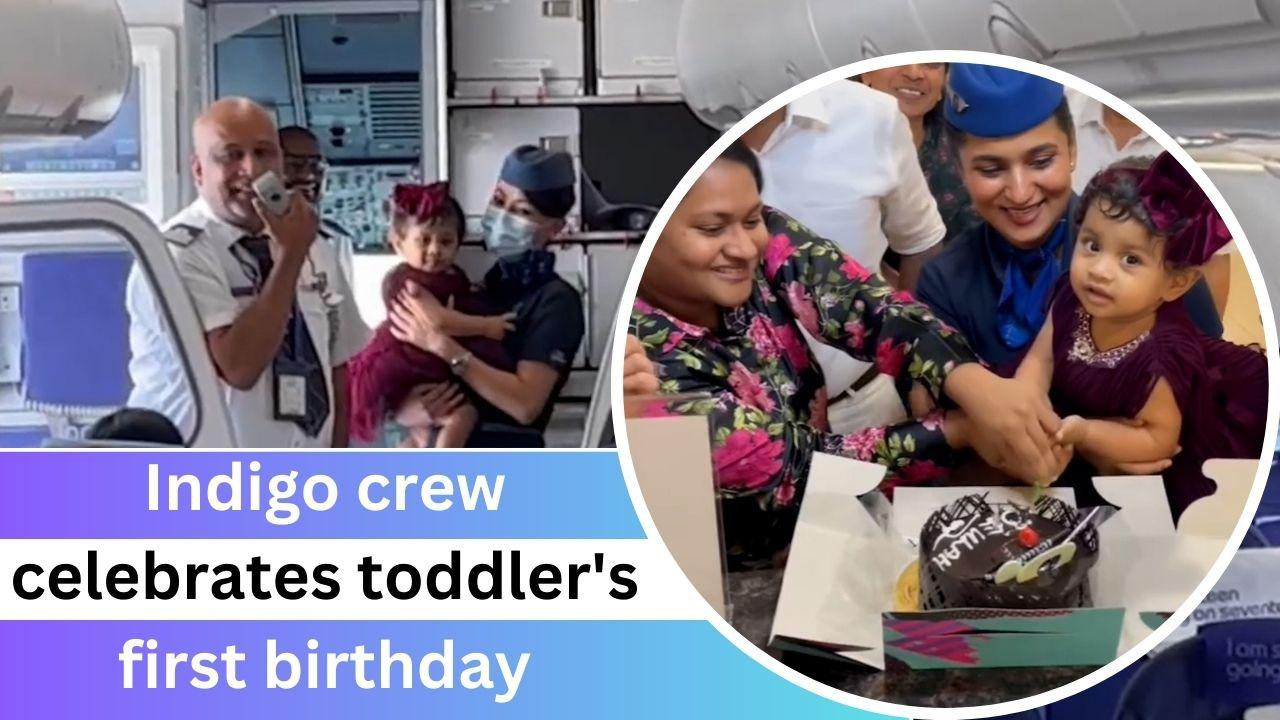 Viral Video: Indigo Cabin Crew Celebrates Toddler