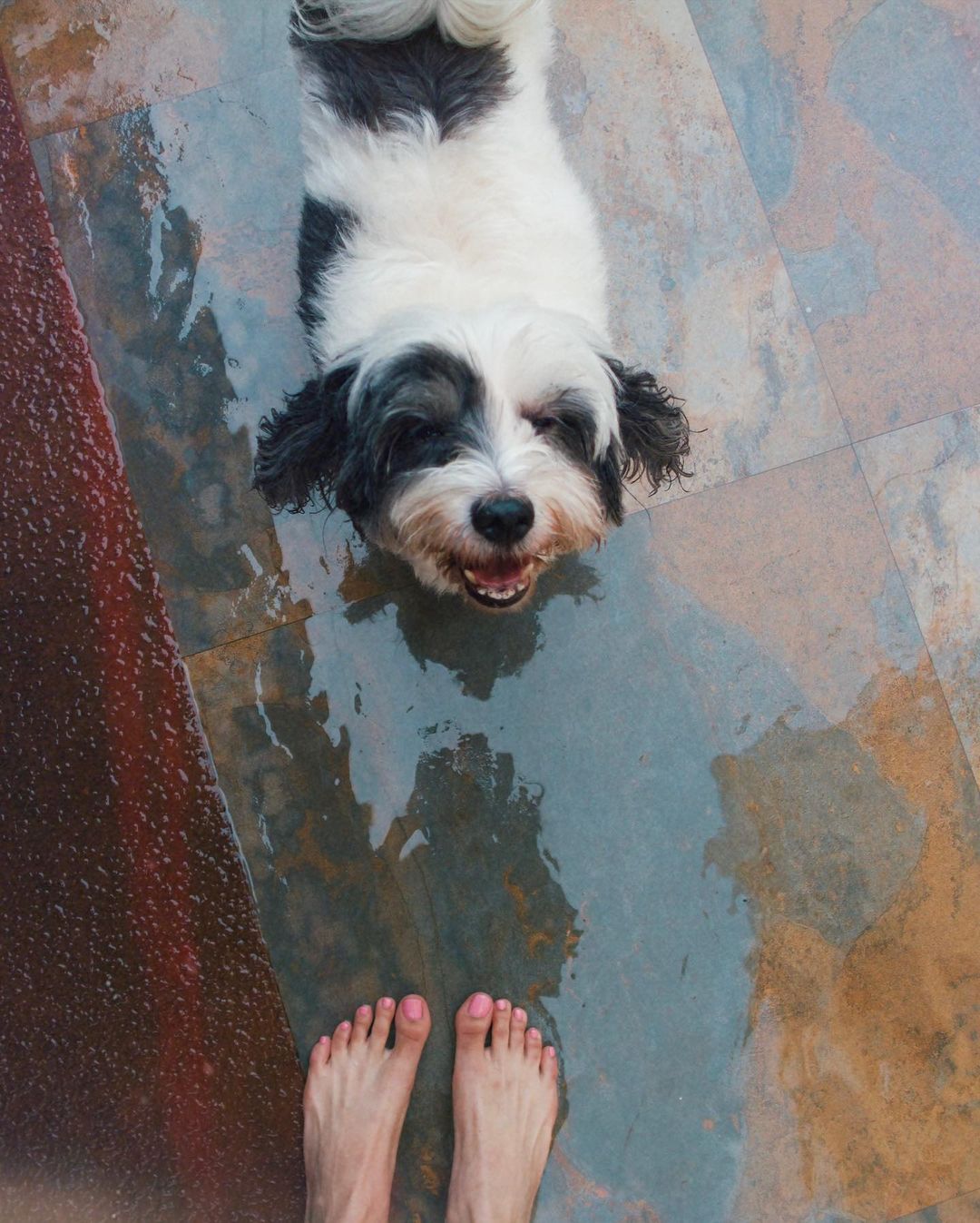 Khushi Kapoor Stuns in Smoking Hot Bikini as She Flaunts Her Washboard Abs Pics