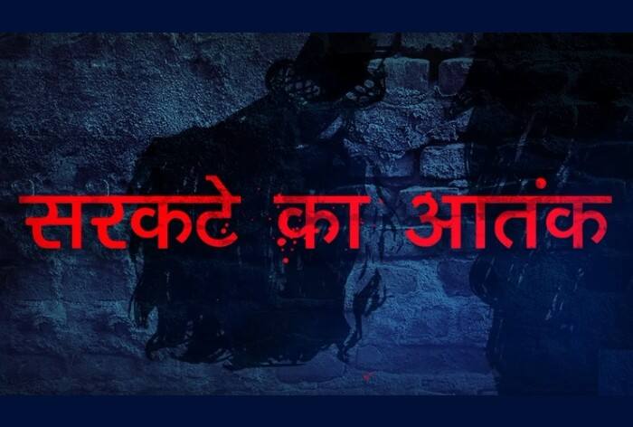 Stree 2 First Look: Its Sarkate Ka Aatank This Time as Rajkummar Rao, Shraddha Kapoor Start Shooting