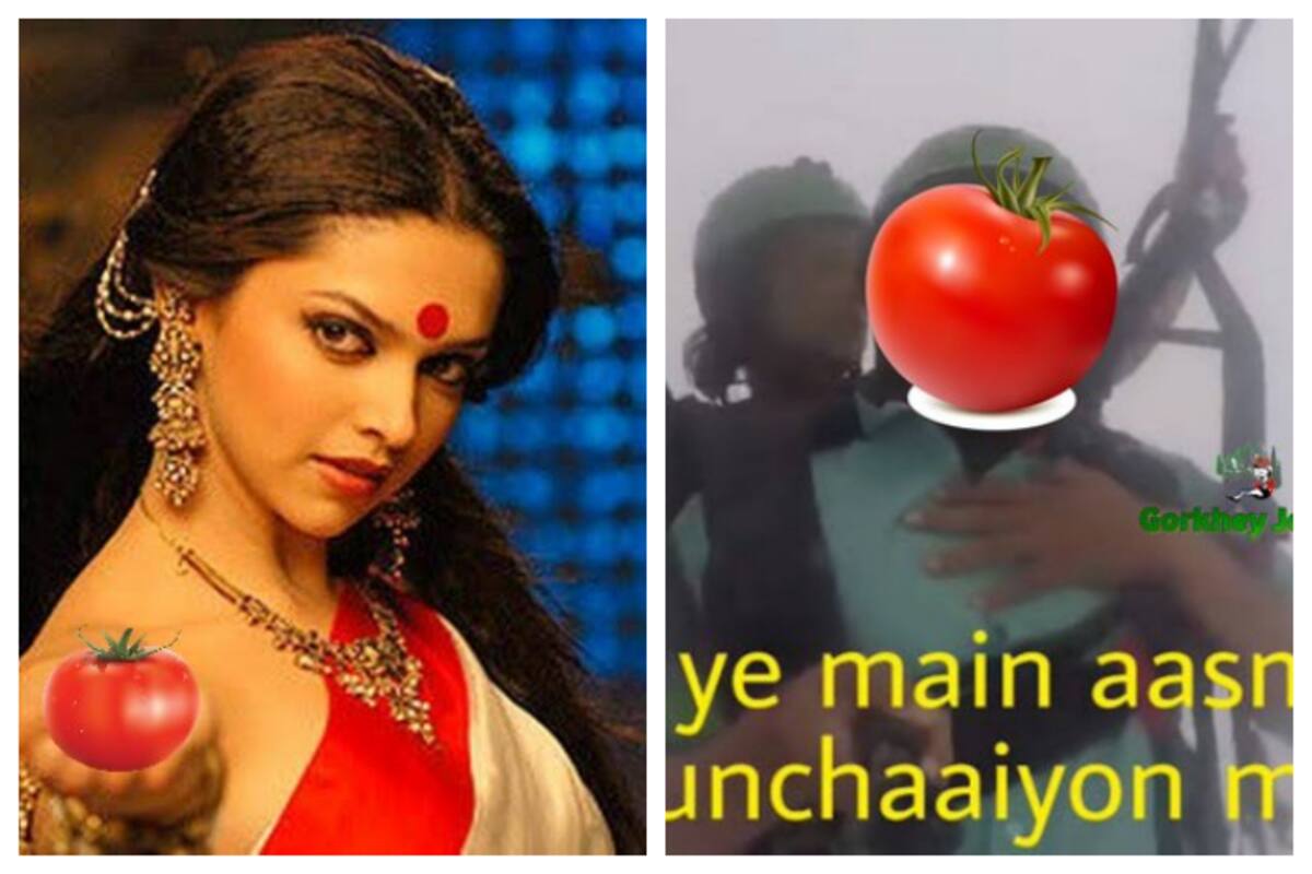 Tomato Tomato Memes Tomato Form Funny Face Hat Tomato Stock Photo