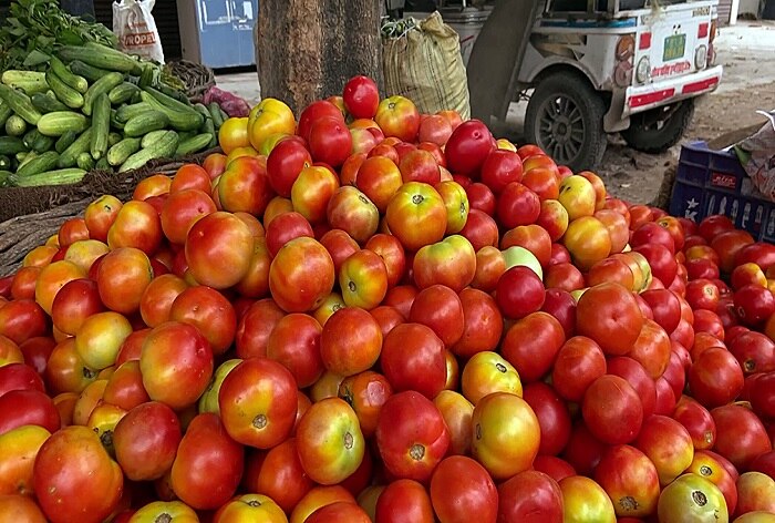 Tomato Price Hike: आम रसोई की पहुंच से बाहर होने के बाद टमाटर बना शाही ...