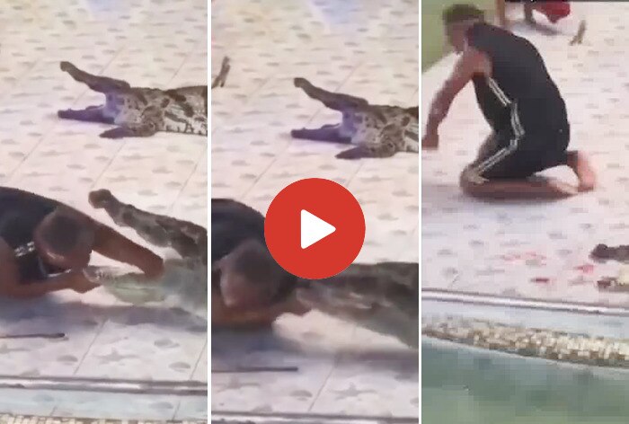 Magarmach Ka Video: मगरमच्छ के दांत साफ करने लगा शख्स, मगर वो उसका हाथ ...