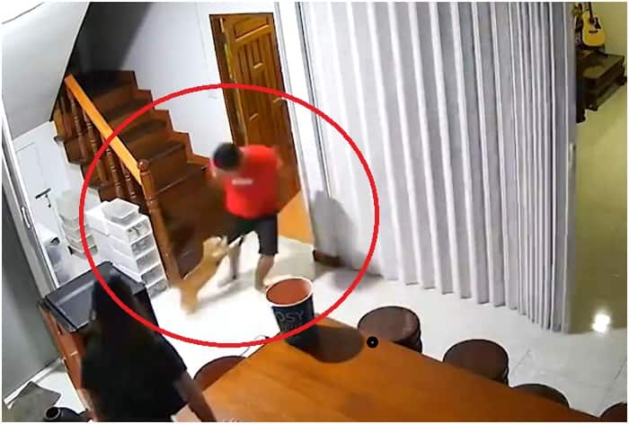 Viral Video: Cat Switches to ‘Beast Mode,’ Attacks Owner For No Reason