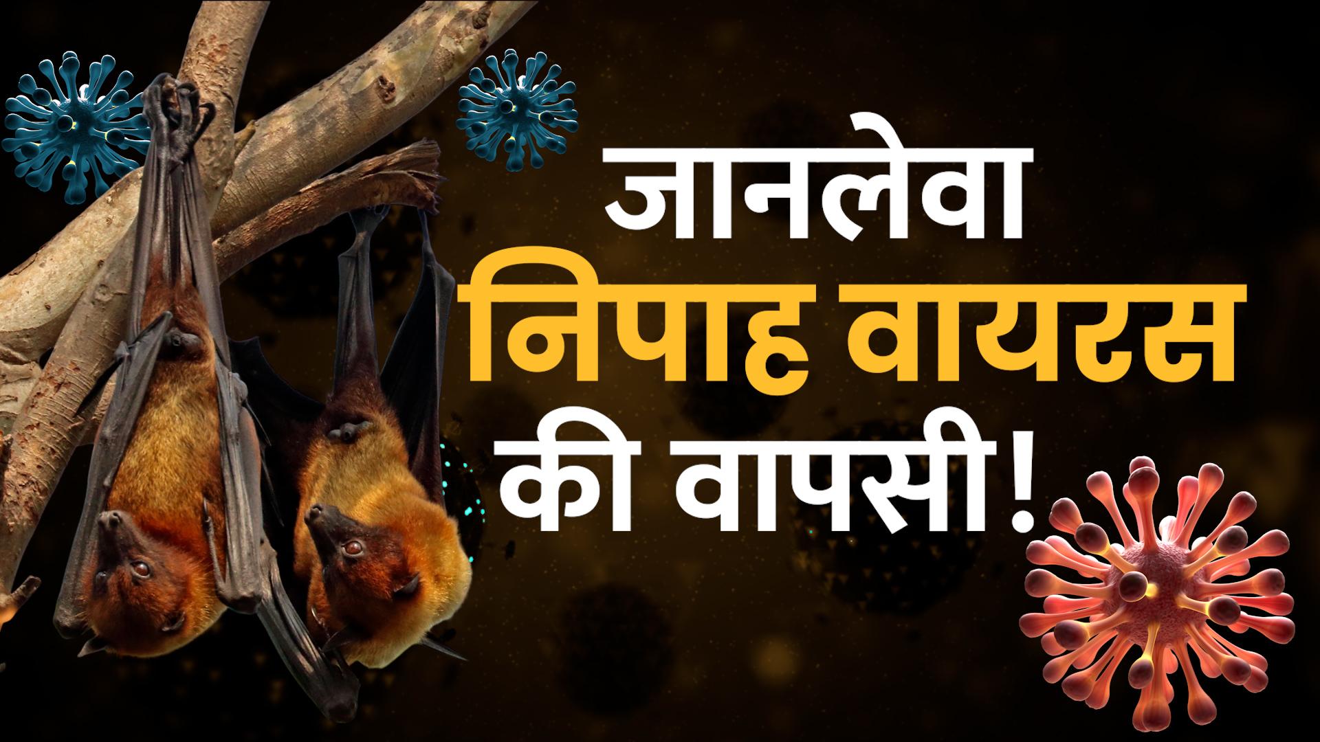 Nipah Virus Explained: जानें क्या है ये निपाह वायरस, कैसे फैलता है ...