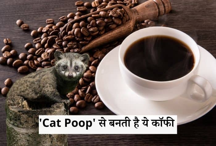 दुनिया की सबसे Expensive Coffee, जान गए कैसे बनती है तो हो जाएगा मूड ऑफ ...