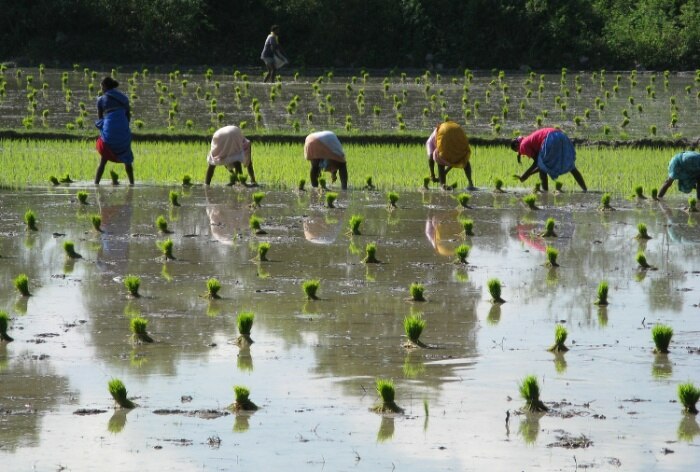 Bihar Agri Credit Societies To Function As CSC's; Provide Banking ...