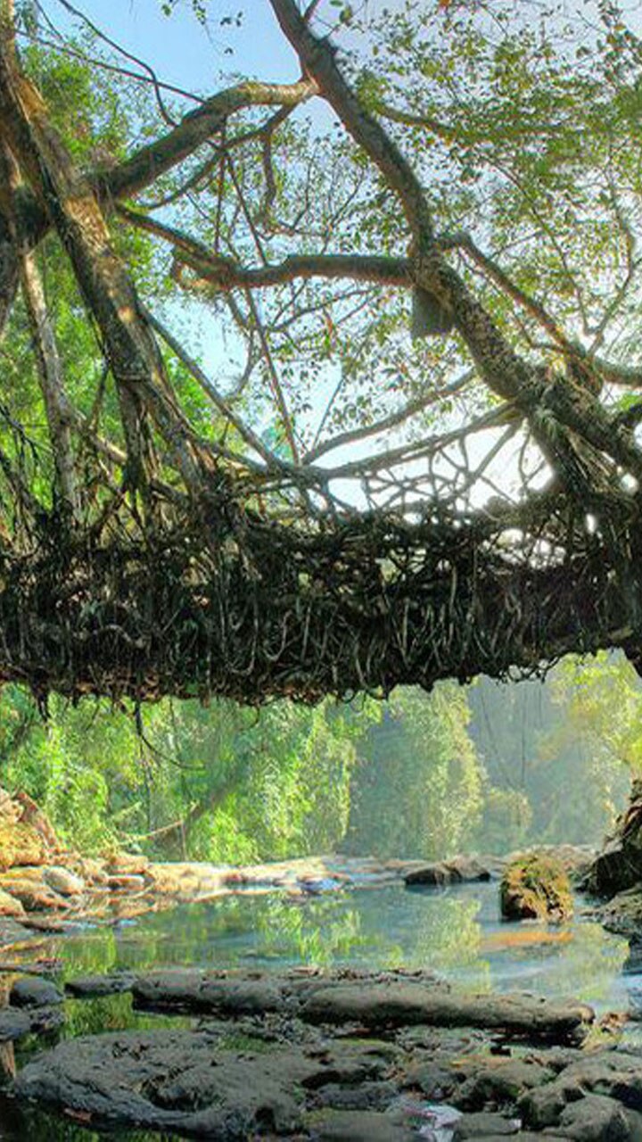 Hidden Gems: 10 Beautiful Modern Villages In India You Must Visit