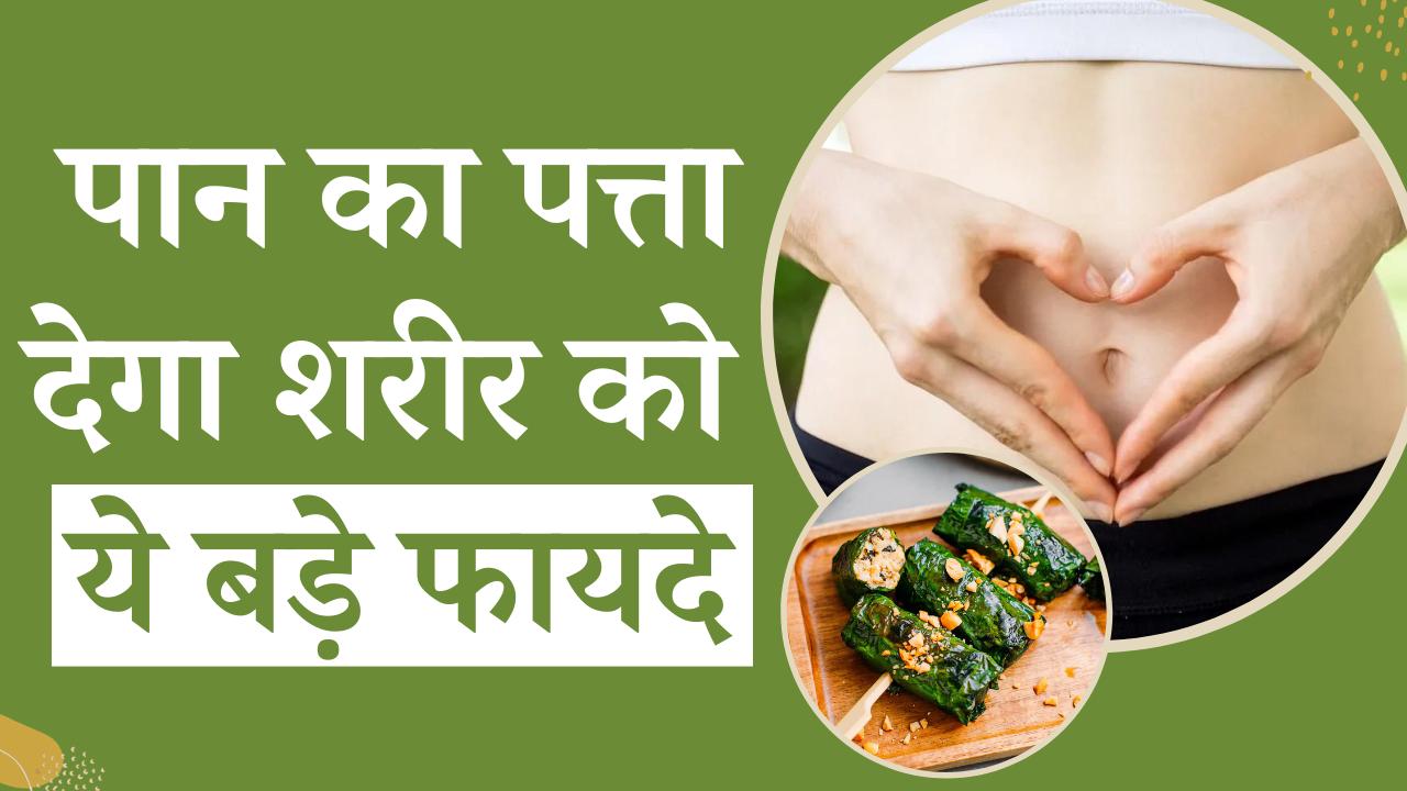 Betel Leaf Benefits: पान का पत्ता खाने से रहेंगे स्वास्थ्य संबंधी ...