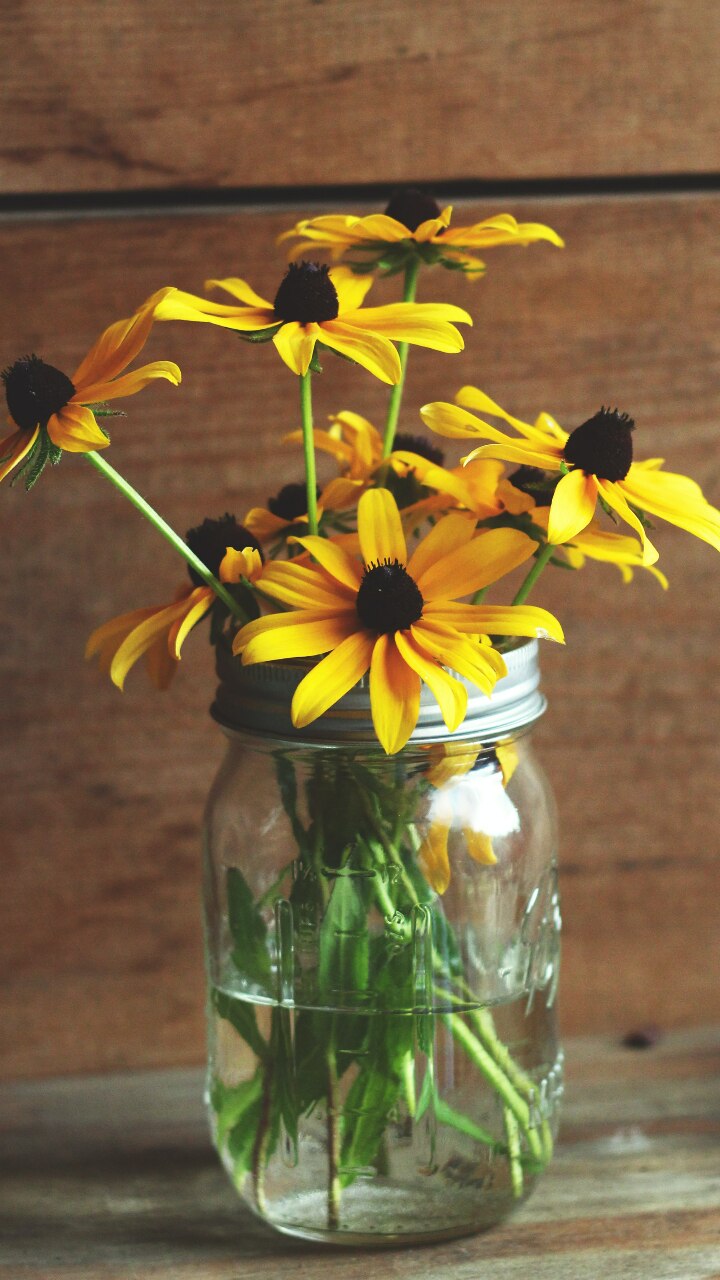 7 Plants Believed To Bring Bad Luck