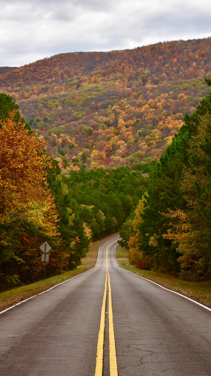 6 Mind-blowing Facts About World’s Longest Road