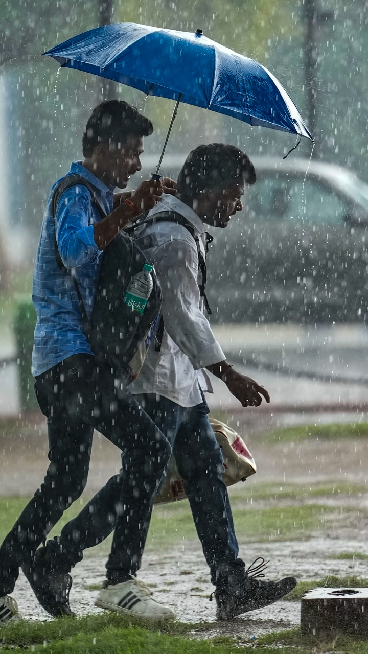 Odisha Weather Update: IMD Predicts Heavy Rainfall in These Areas