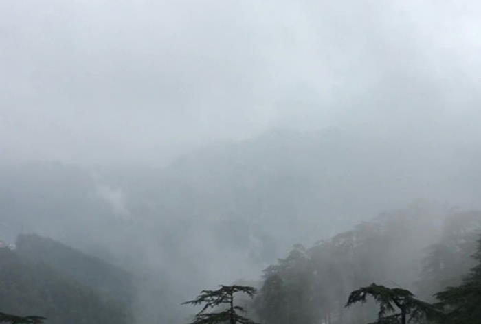 Uttarakhand Weather: इन जिलों में अगले 24 घंटे के दौरान मूसलाधार बारिश ...