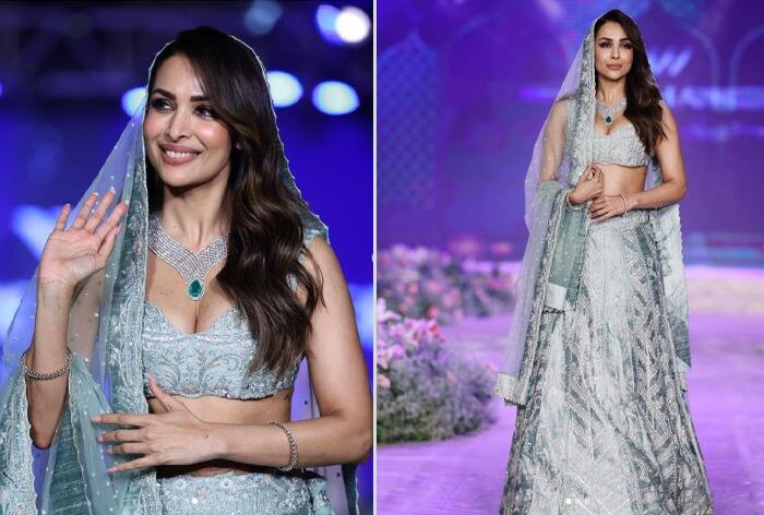 Malaika Arora Exudes Royalty in Exquisite Silver Lehenga With Deep-Neck ...