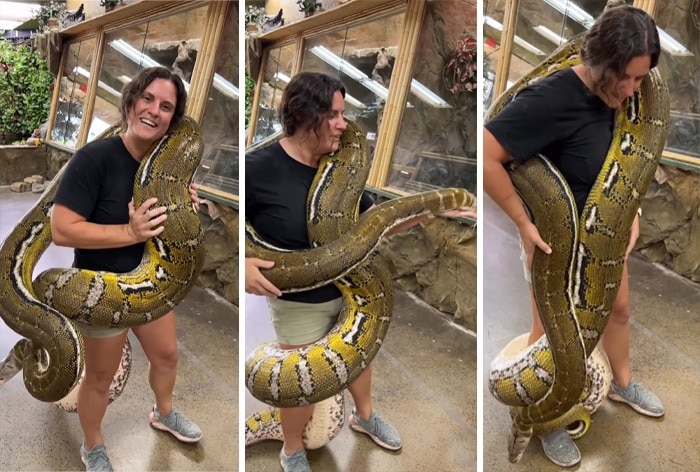 Azgar Ka Video: अजगर को कंधे पर लादकर पुचकारने लगी महिला, आगे जो हुआ ...